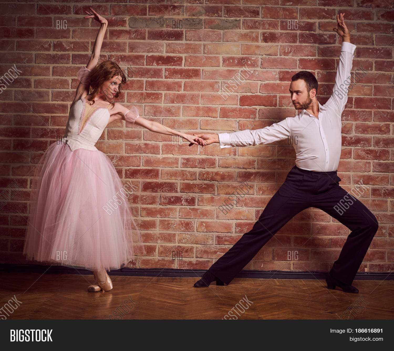Female Ballet Dancer Image & Photo (Free Trial) | Bigstock