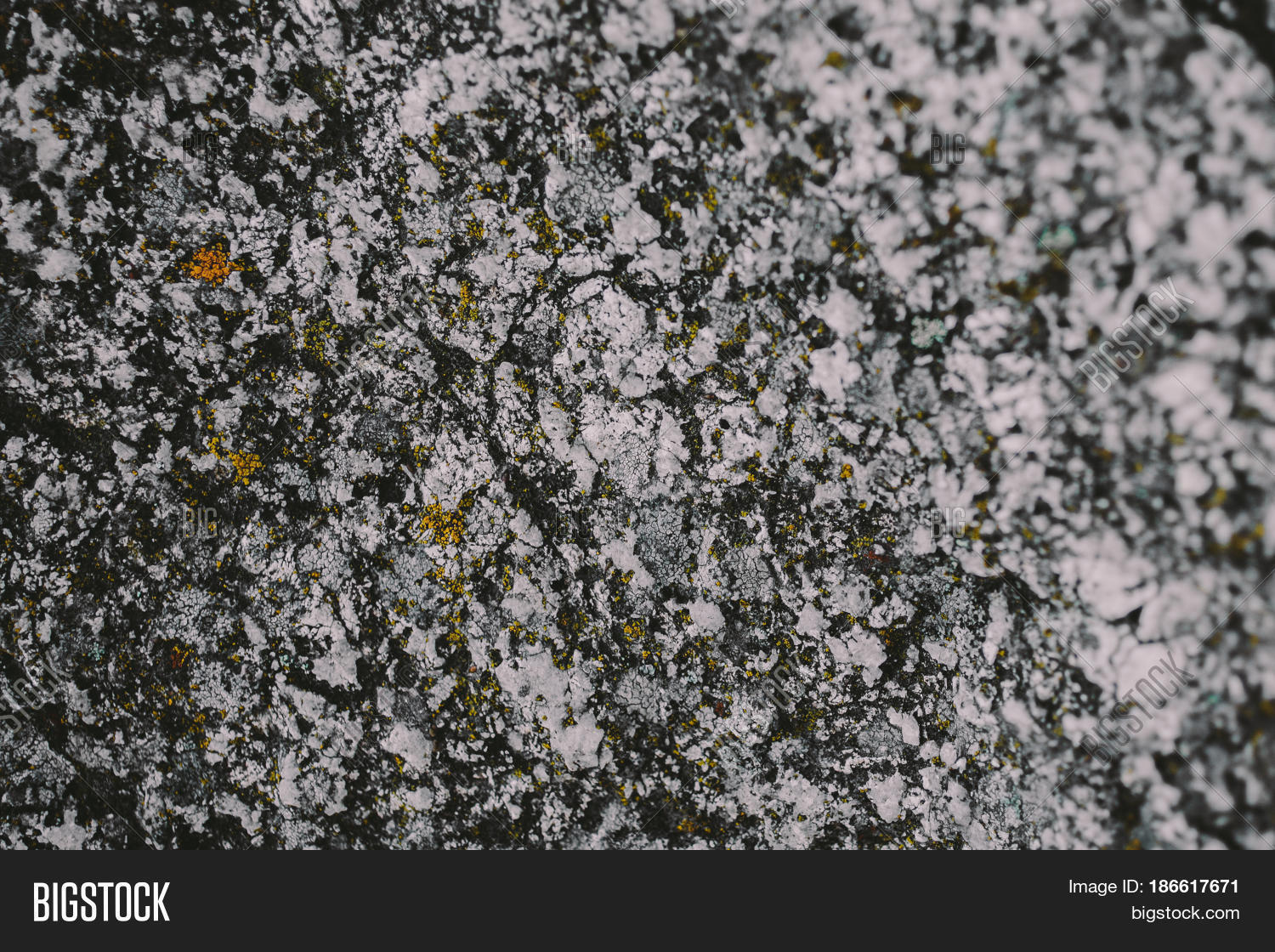 Rough Stone Surface. Image & Photo (Free Trial) | Bigstock