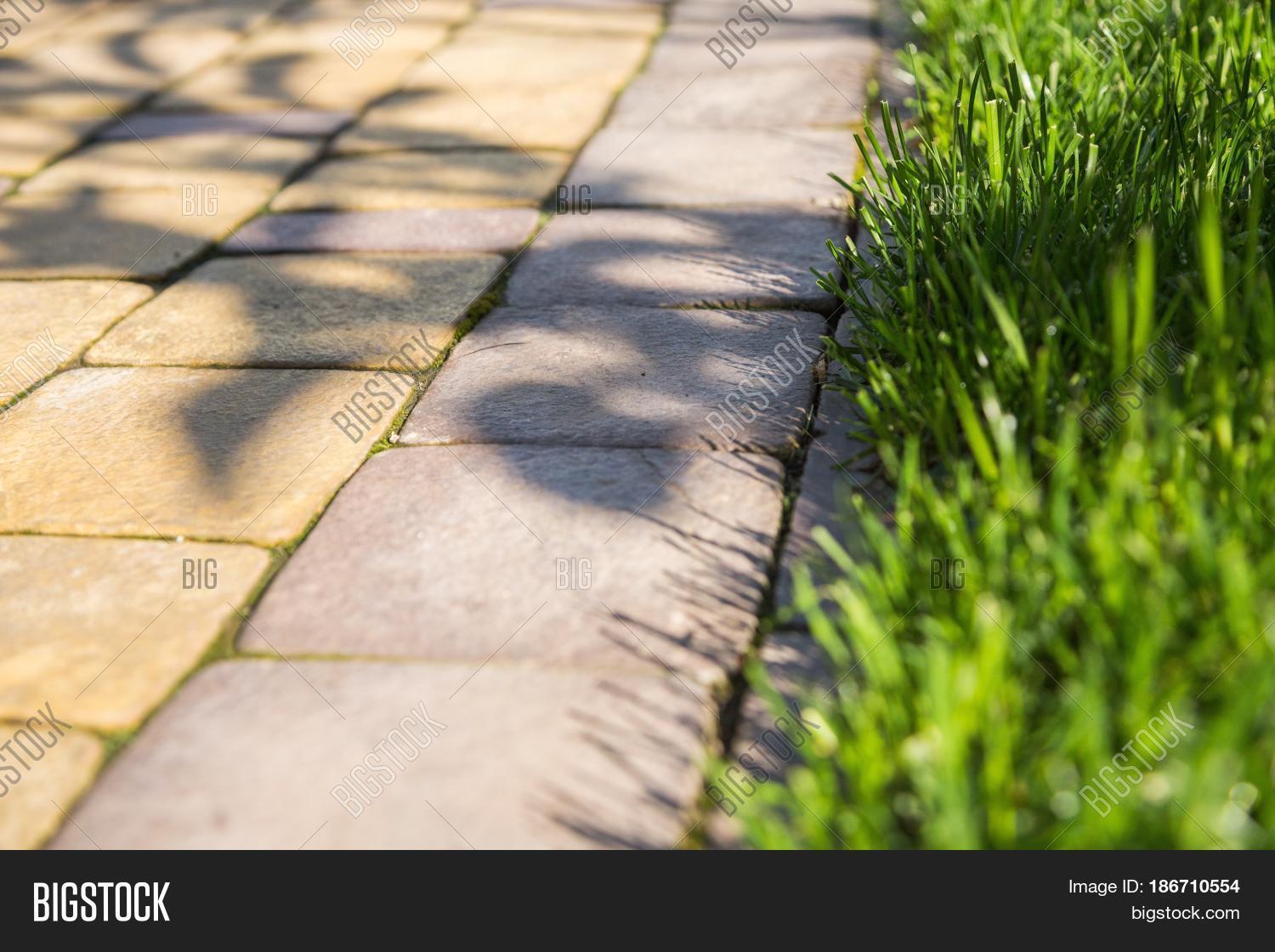 Lawn Sidewalk Grass Image & Photo (Free Trial) | Bigstock