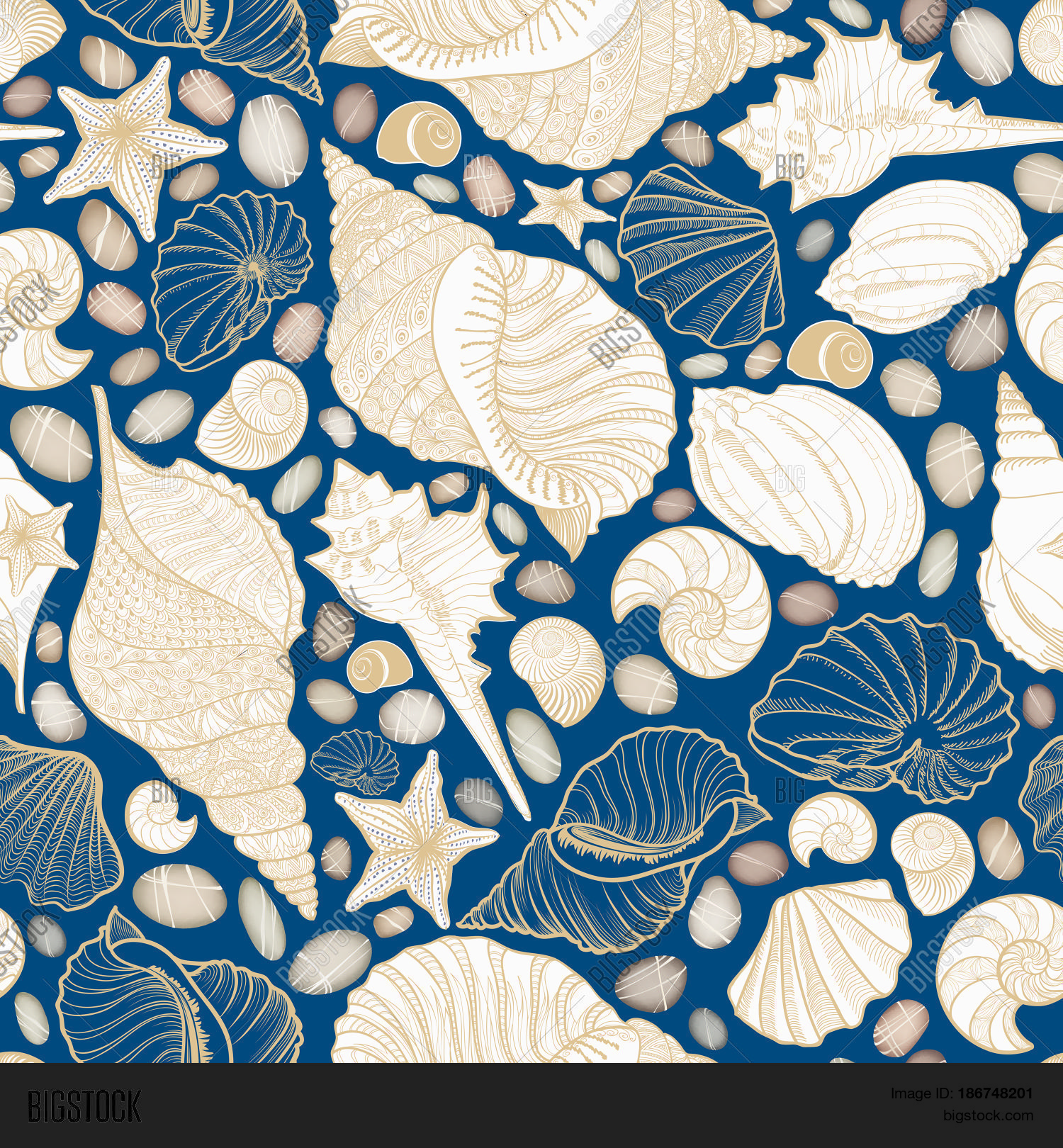 Seashell-pattern013-b Vector & Photo (Free Trial) | Bigstock