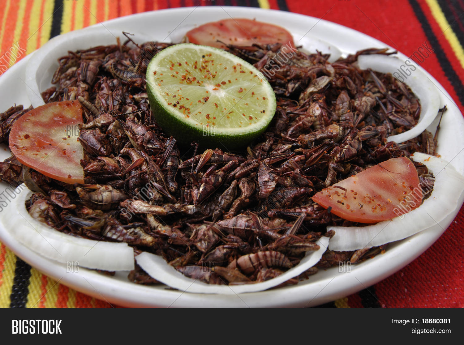 Roasted Grasshoppers " Image & Photo (Free Trial) | Bigstock