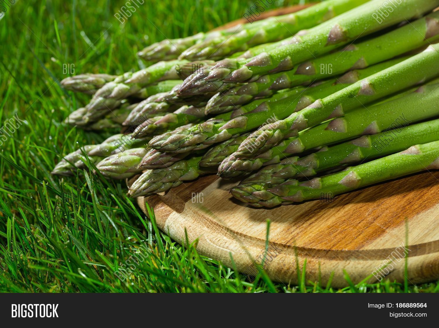 Asparagus Vegetables Image & Photo (Free Trial) | Bigstock