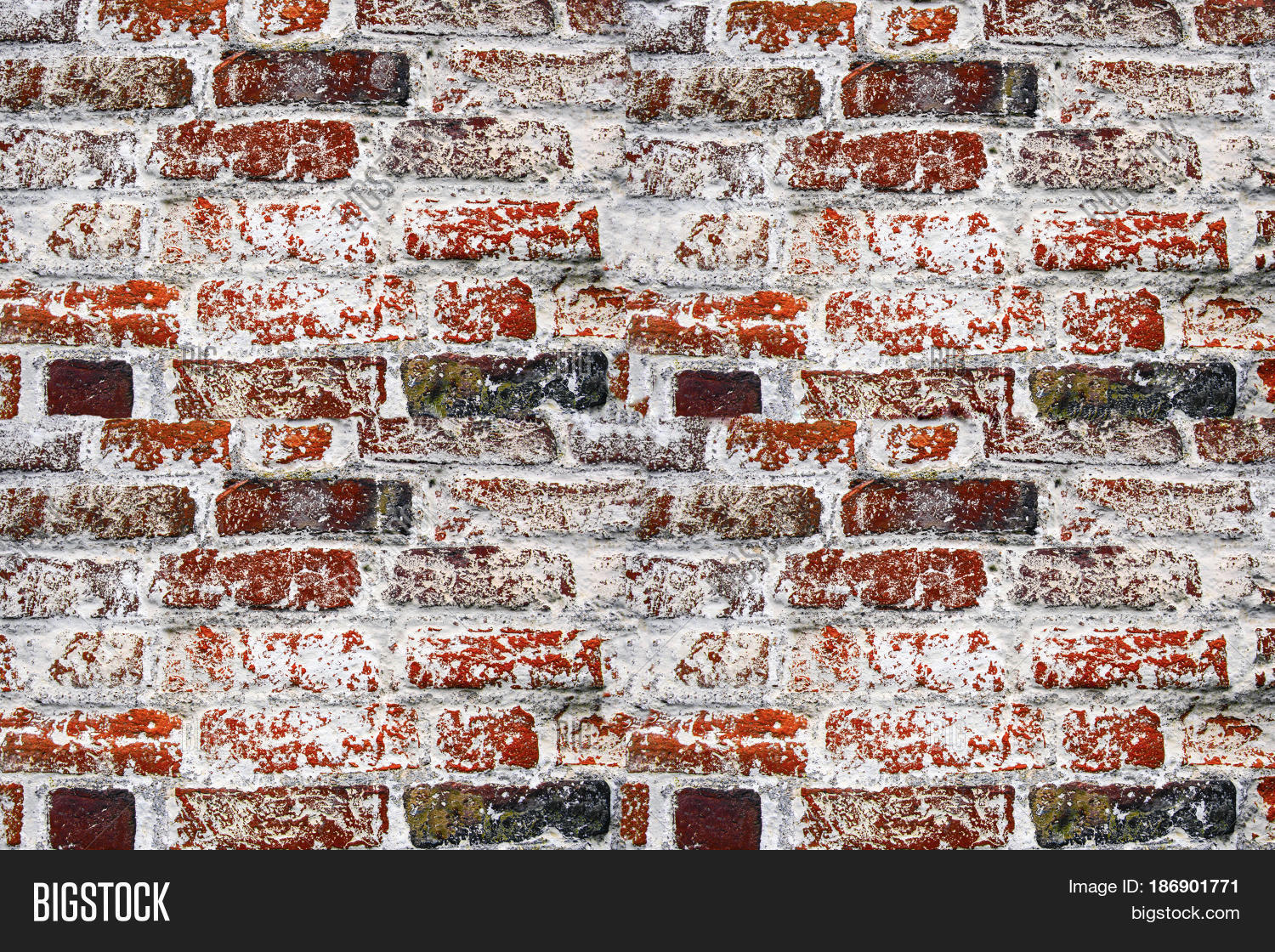 Solid Background Image & Photo (Free Trial) | Bigstock