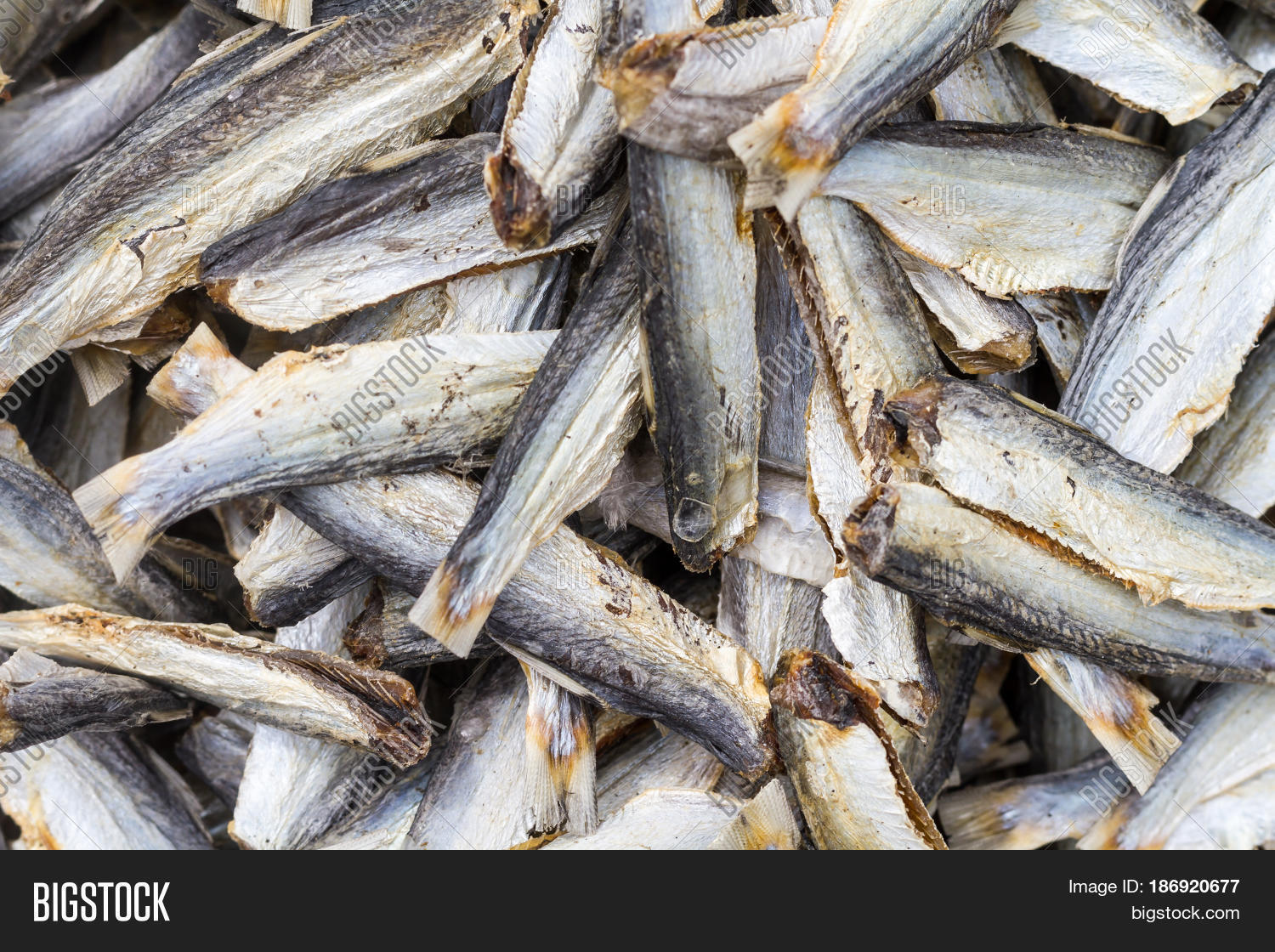 Imagen y foto Fish Dried Food (prueba gratis) | Bigstock