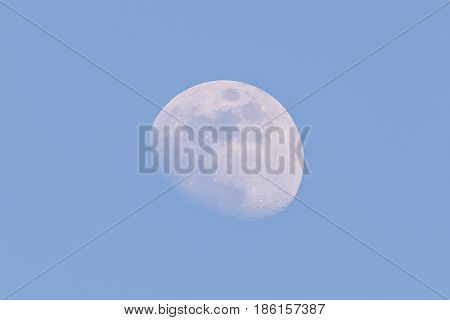 Nice Big Moon Captured Image & Photo (Free Trial) | Bigstock