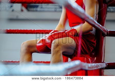 Young Boxer Man Corner Image & Photo (Free Trial) | Bigstock