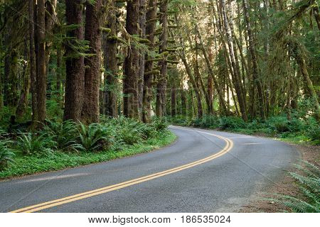 Two Lane Road Cuts Image & Photo (Free Trial) | Bigstock