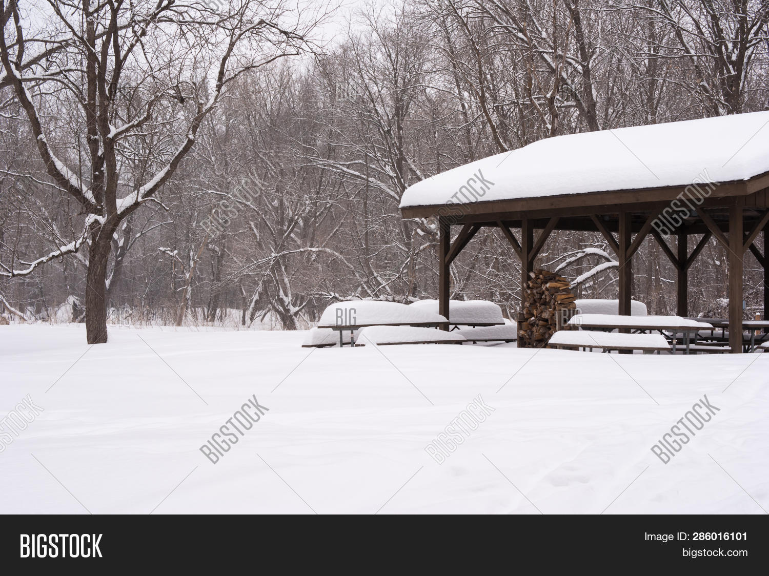 Snow Covered Picnic Image & Photo (Free Trial) | Bigstock