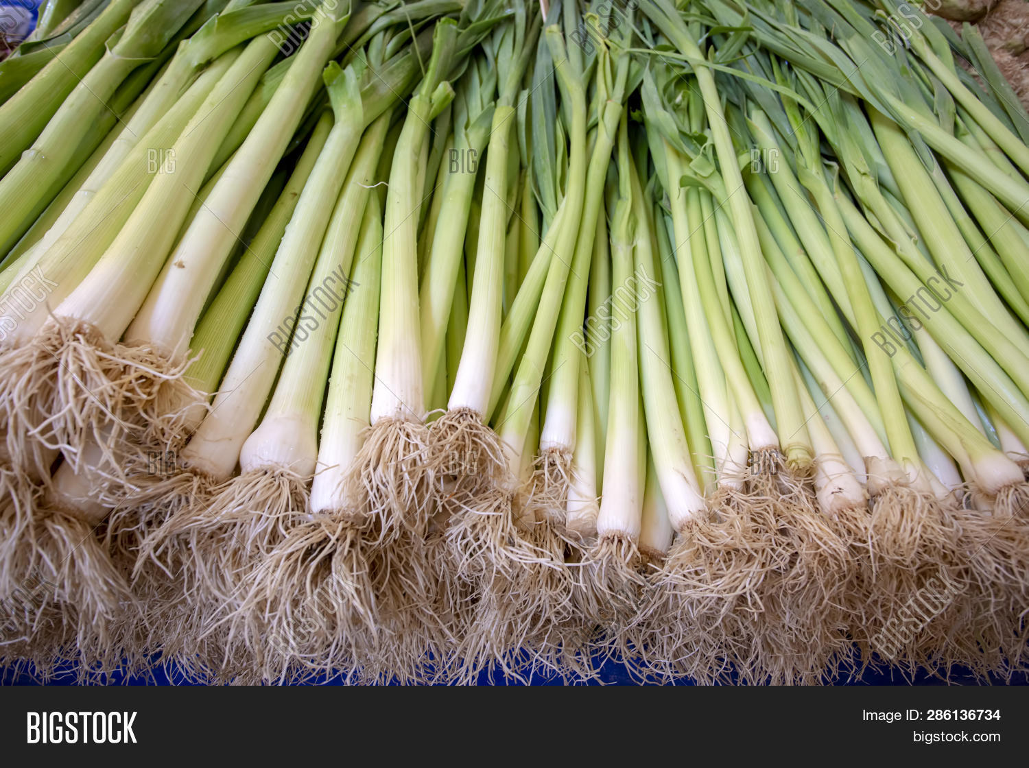Green Fresh Organik Image & Photo (Free Trial) | Bigstock