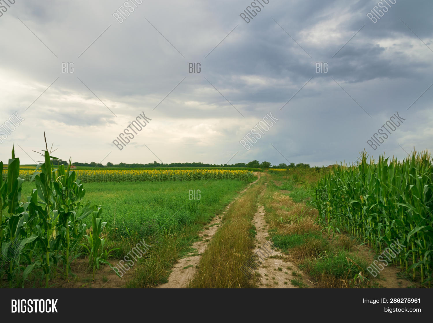 Countryside Image & Photo (Free Trial) | Bigstock