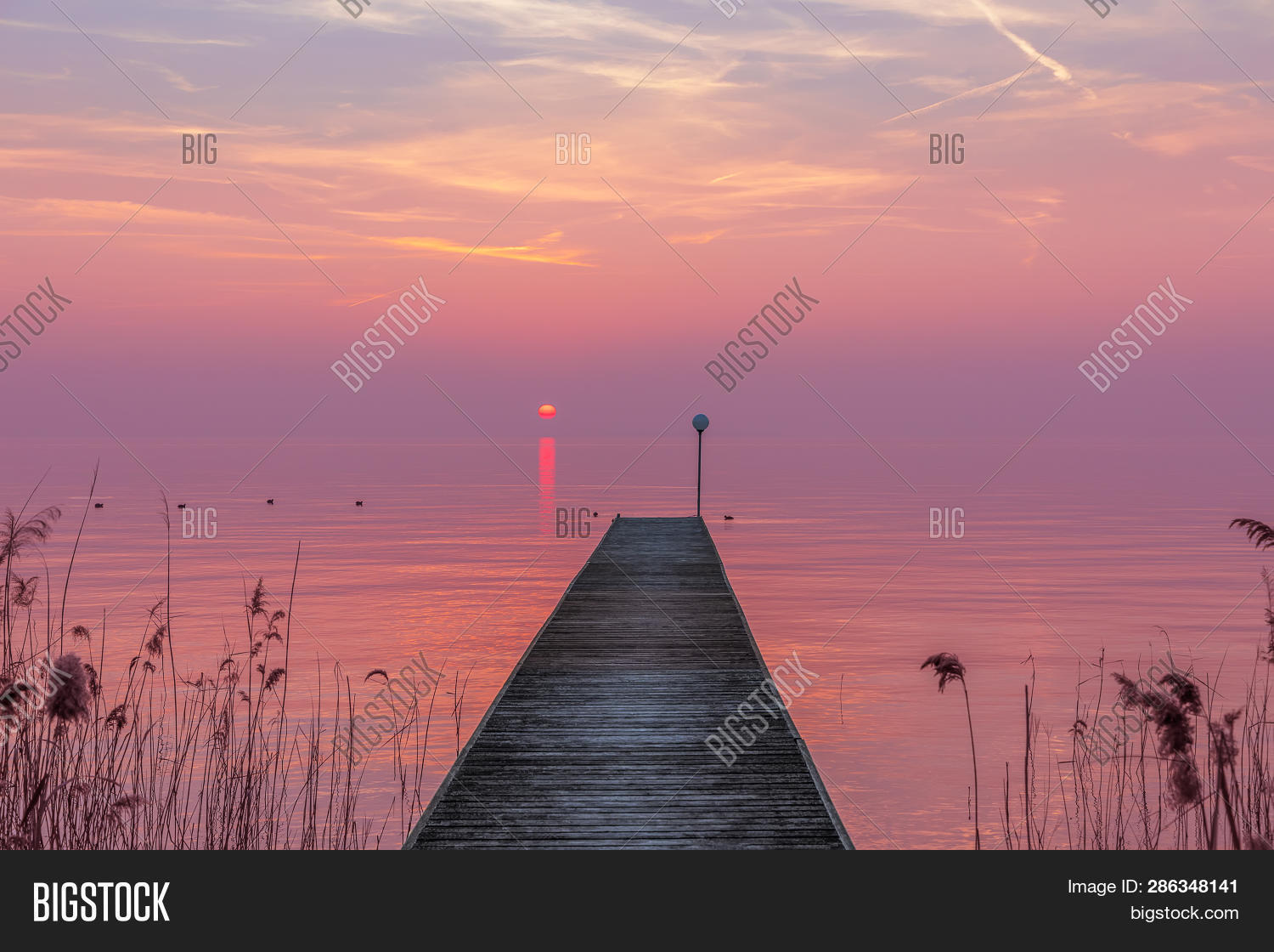 Amazing Purple Sunset Image & Photo (Free Trial) | Bigstock