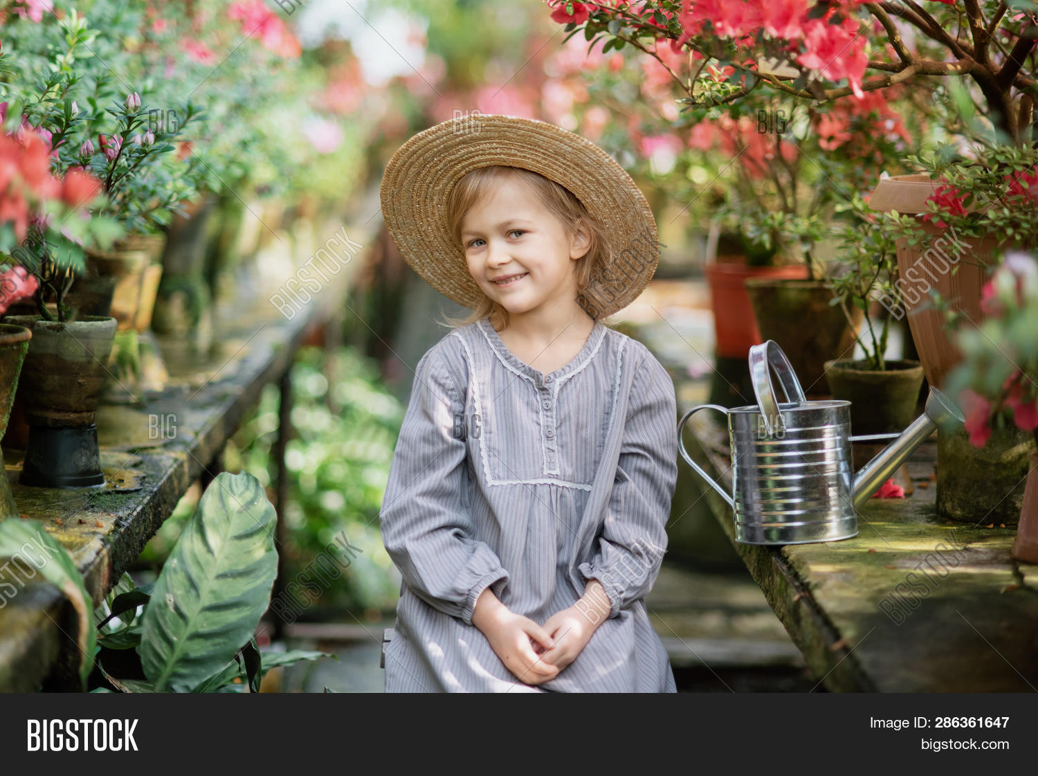 Toddler Flower Basket Image & Photo (Free Trial) | Bigstock