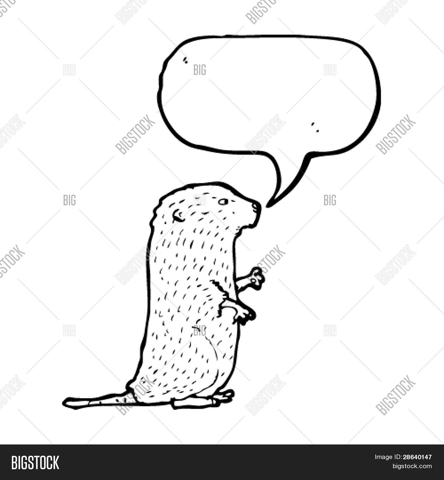 Water Vole Vector & Photo (Free Trial) | Bigstock