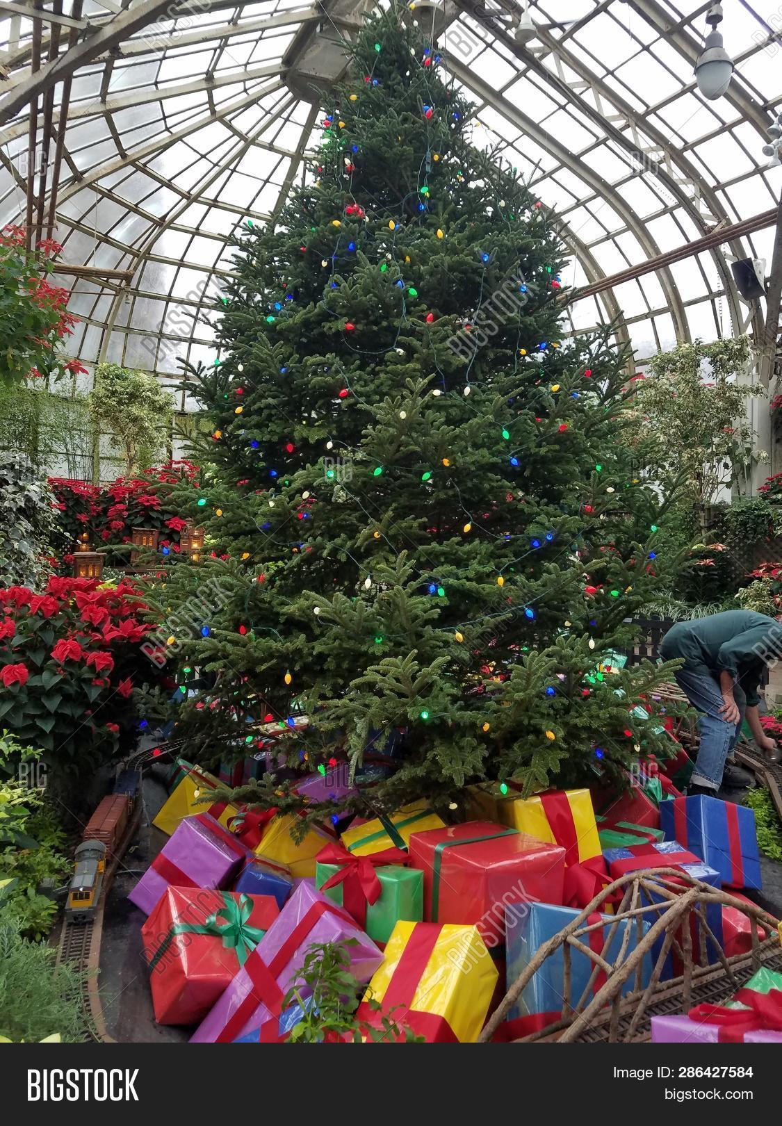 Chicago, Il November Image & Photo (Free Trial) | Bigstock