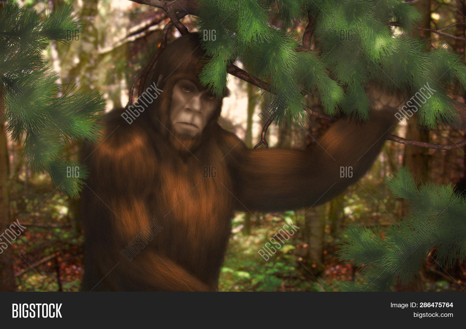 Bigfoot Hiding Behind Image & Photo (Free Trial) | Bigstock