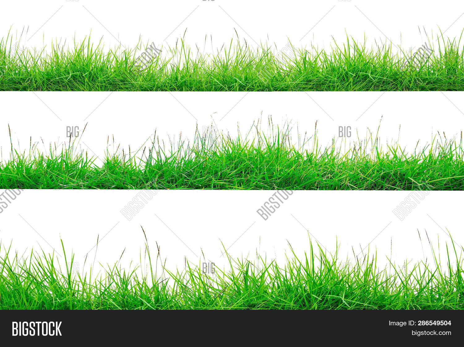 Green Grass Border Image & Photo (Free Trial) | Bigstock
