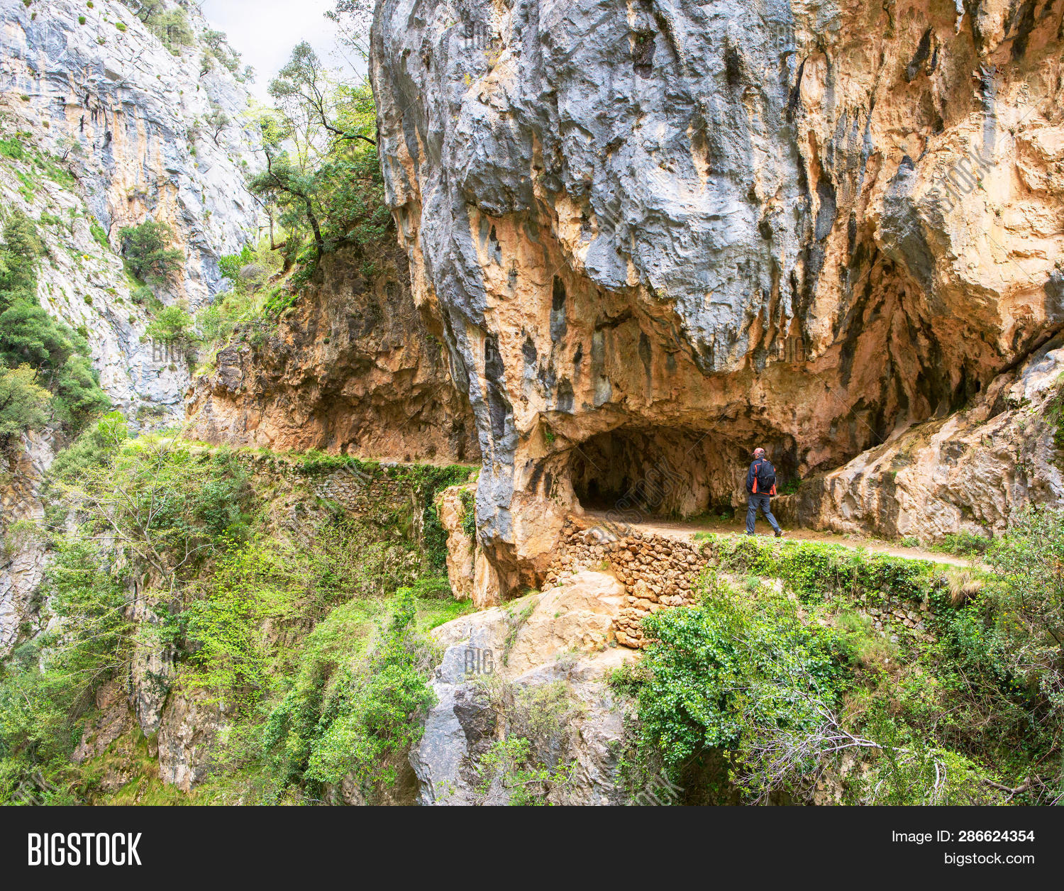 Hiking Trail (Cares Image & Photo (Free Trial) | Bigstock