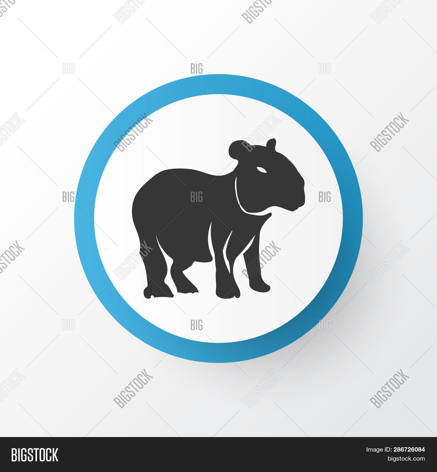 Capybara Icon Symbol. Image & Photo (Free Trial) | Bigstock