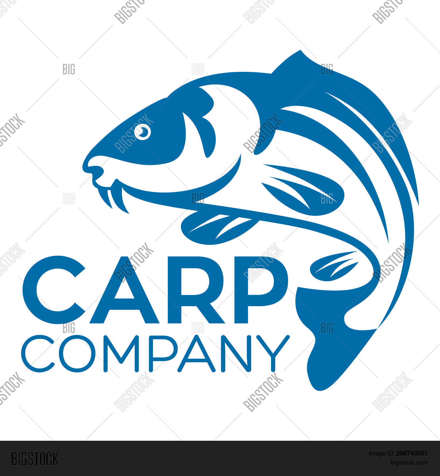Modern Fish Carp Logo Vector & Photo (Free Trial) | Bigstock