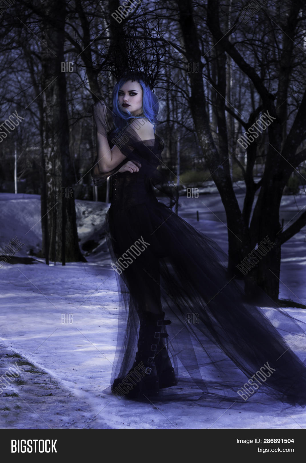 Black Queen. Blue Hair Image & Photo (Free Trial) | Bigstock