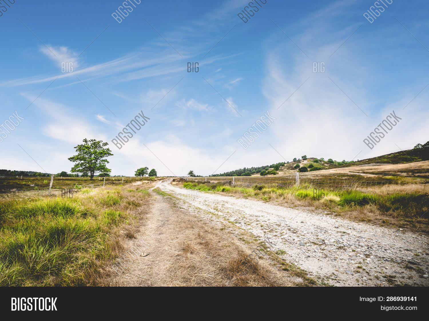Dirt Road Green Grass Image & Photo (Free Trial) | Bigstock