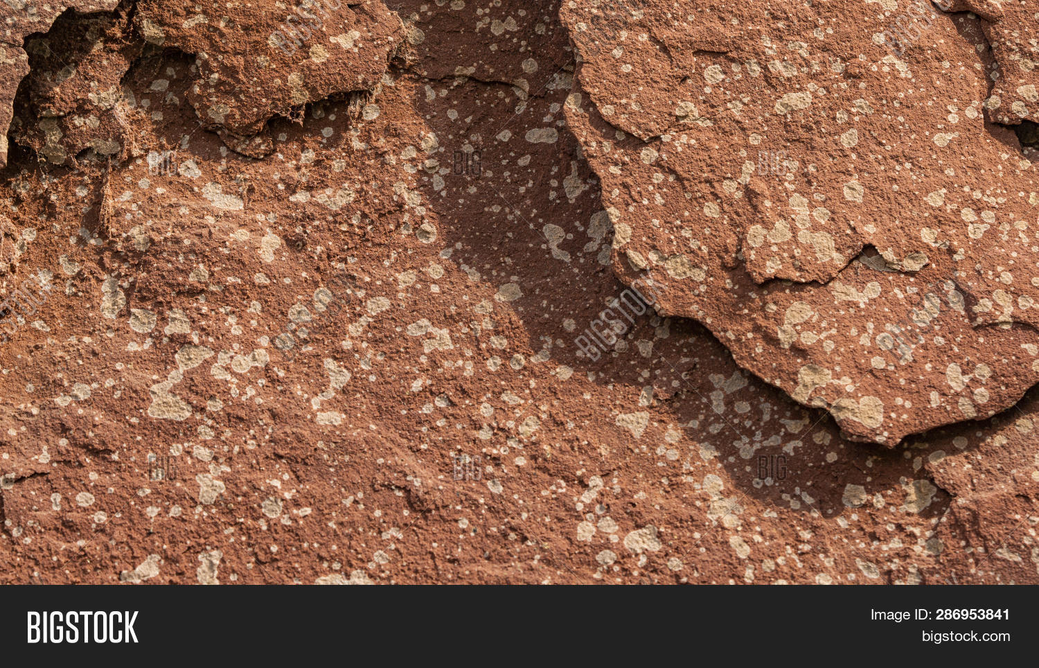 Macro Texture Nature Image & Photo (Free Trial) | Bigstock