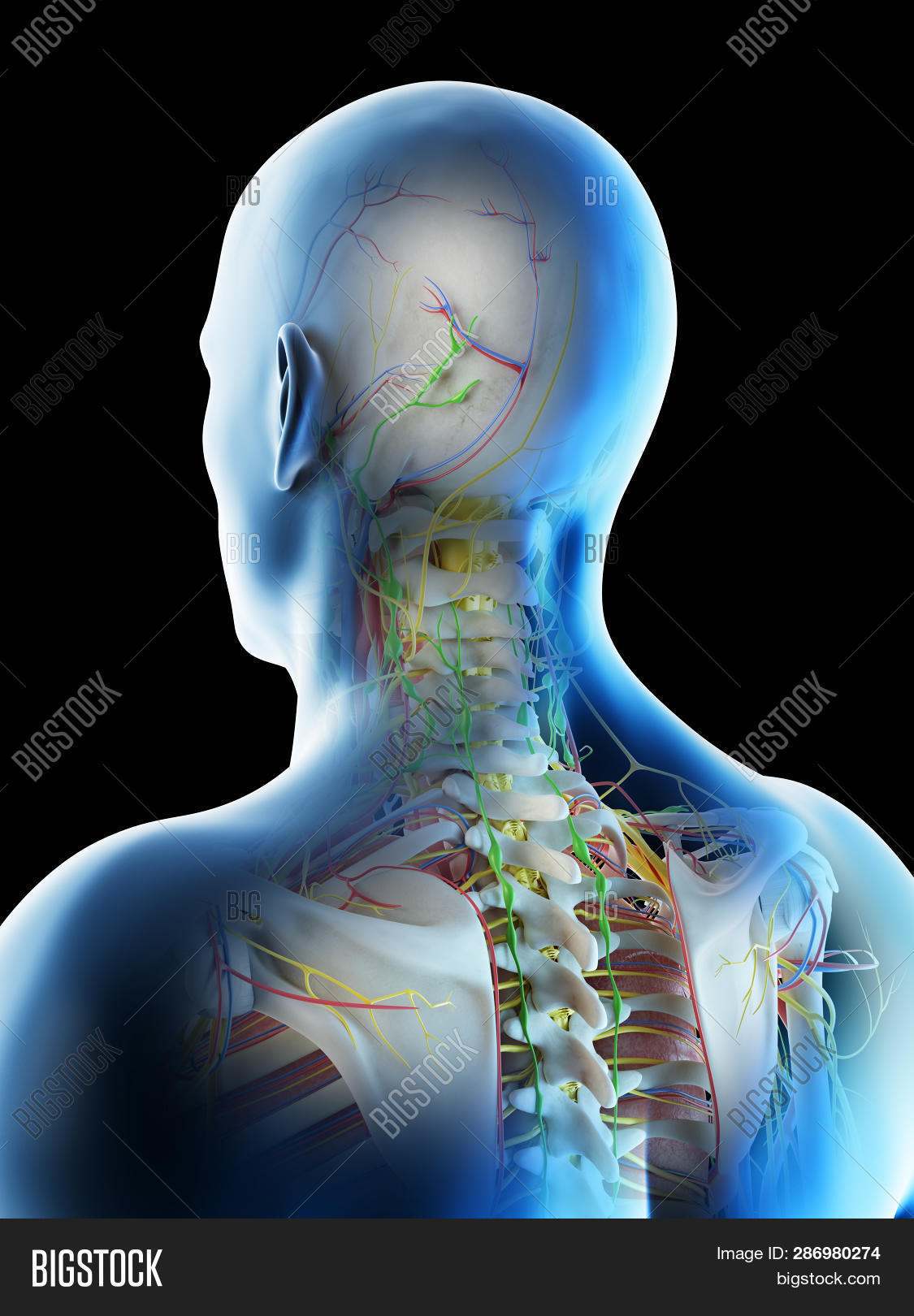 3d Rendered Image & Photo (Free Trial) | Bigstock