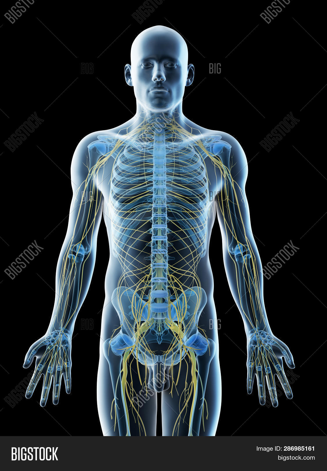 3d Rendered Image & Photo (Free Trial) | Bigstock