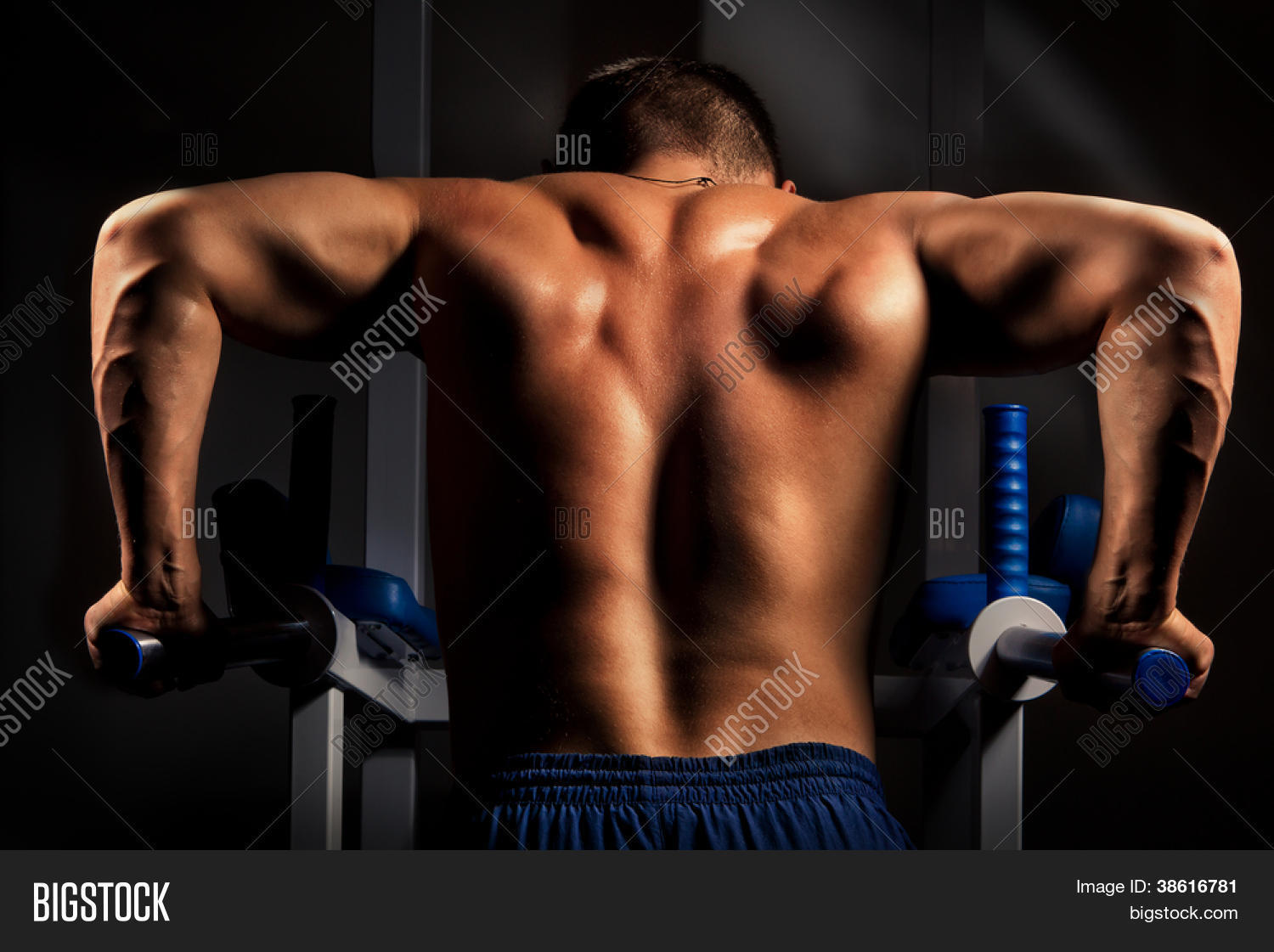 Muscular Back Young Image & Photo (Free Trial) | Bigstock