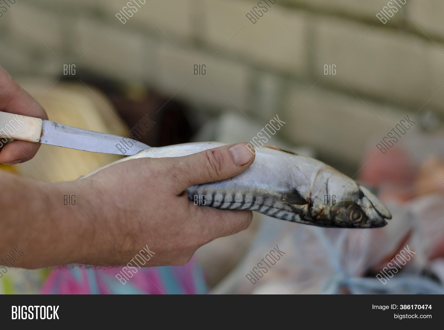 Man Gutting Fish Image & Photo (Free Trial) | Bigstock