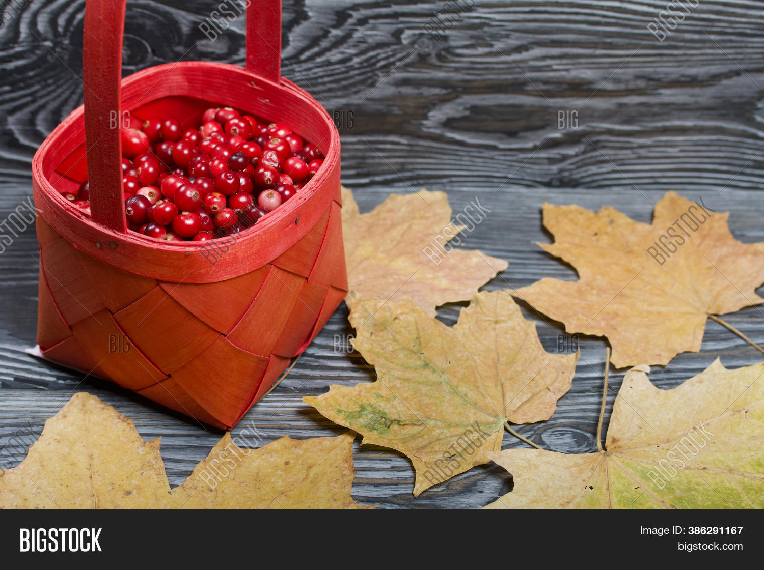 Cranberries Red Basket Image & Photo (Free Trial) | Bigstock