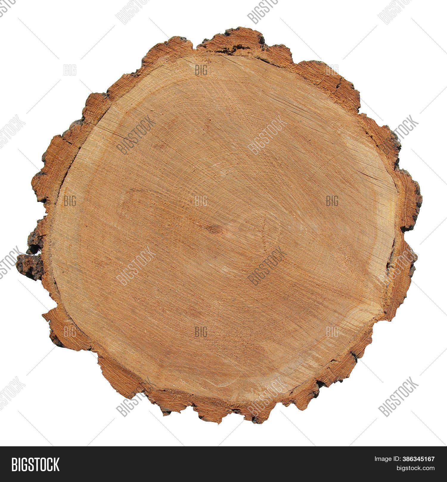 Cut Sawn Wood. Piece Image & Photo (Free Trial) | Bigstock