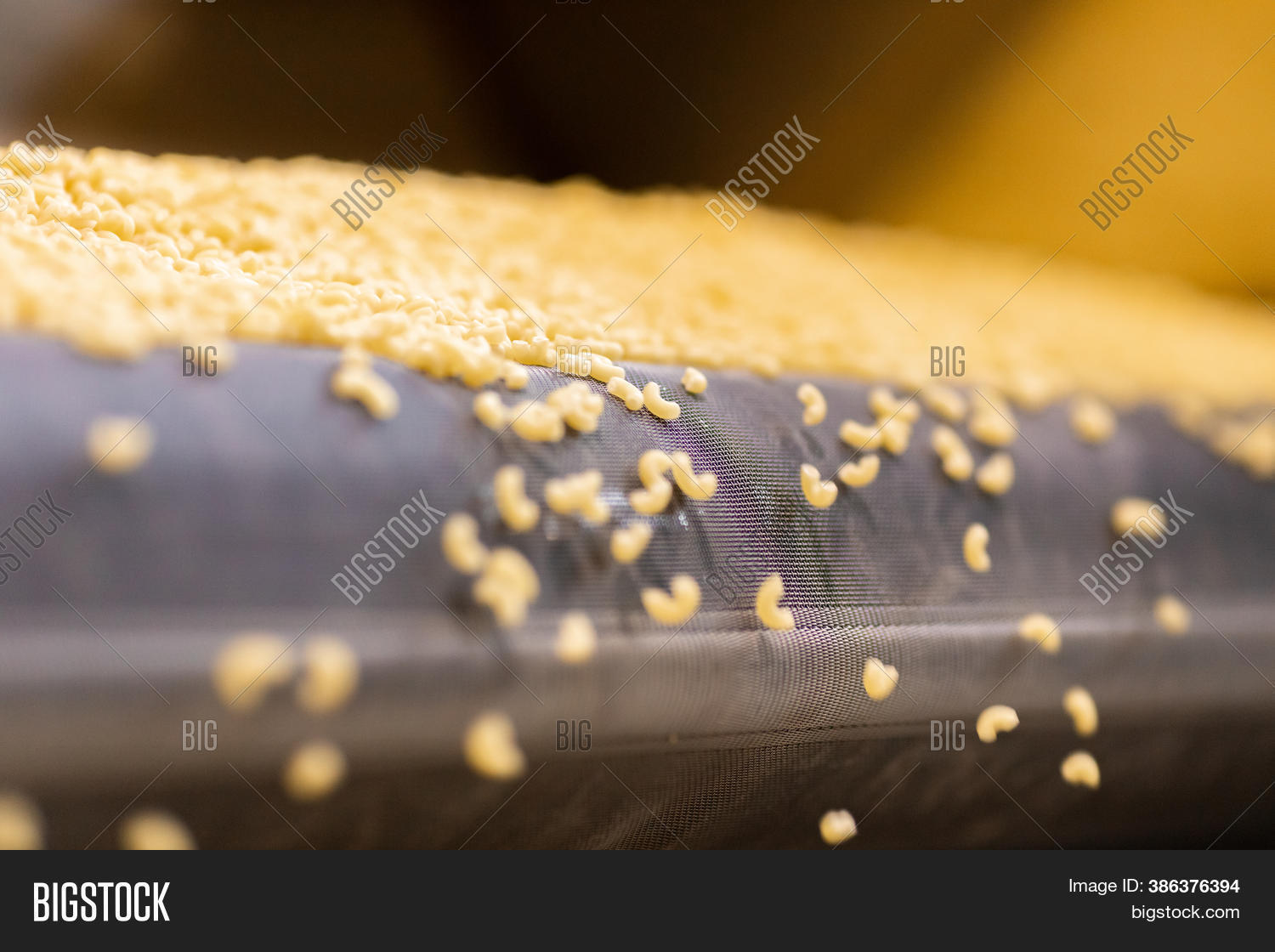 Pasta Manufacturing Image & Photo (Free Trial) | Bigstock