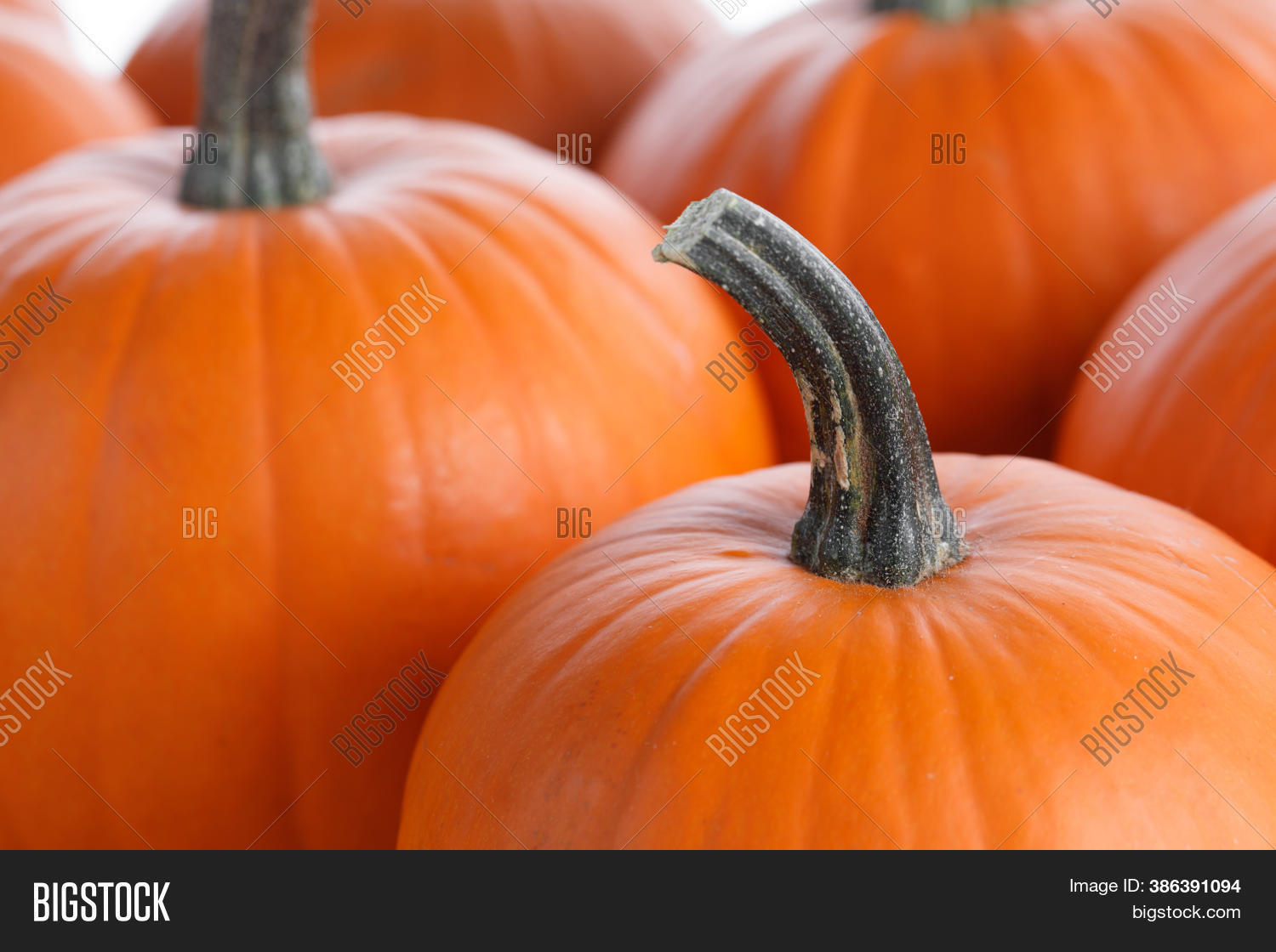 Many Pumpkins Image & Photo (Free Trial) | Bigstock