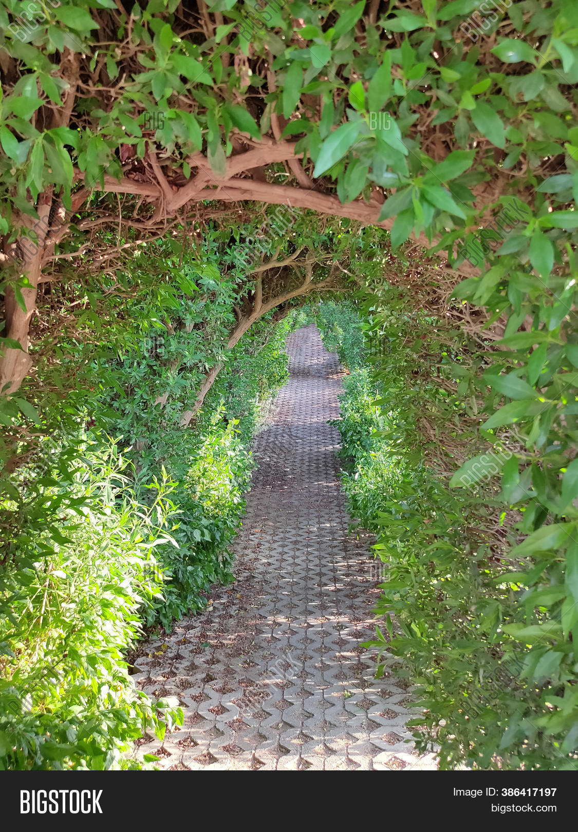 Walkway Lane Path Image & Photo (Free Trial) | Bigstock