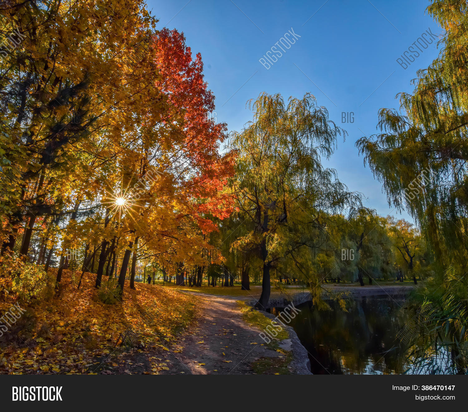 Amazing View Autumn Image & Photo (Free Trial) | Bigstock