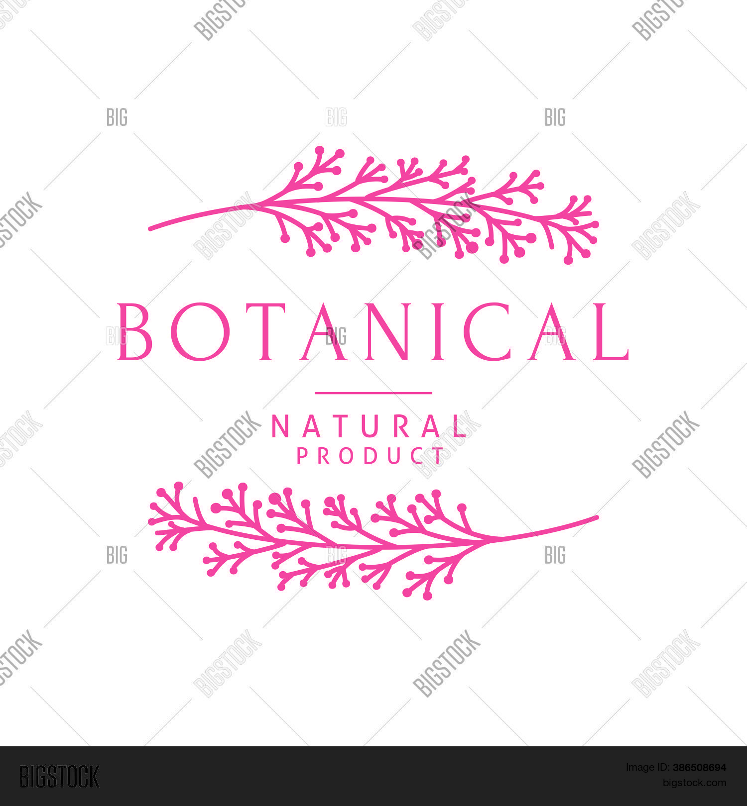 Vector Botanical Logo Vector & Photo (Free Trial) | Bigstock