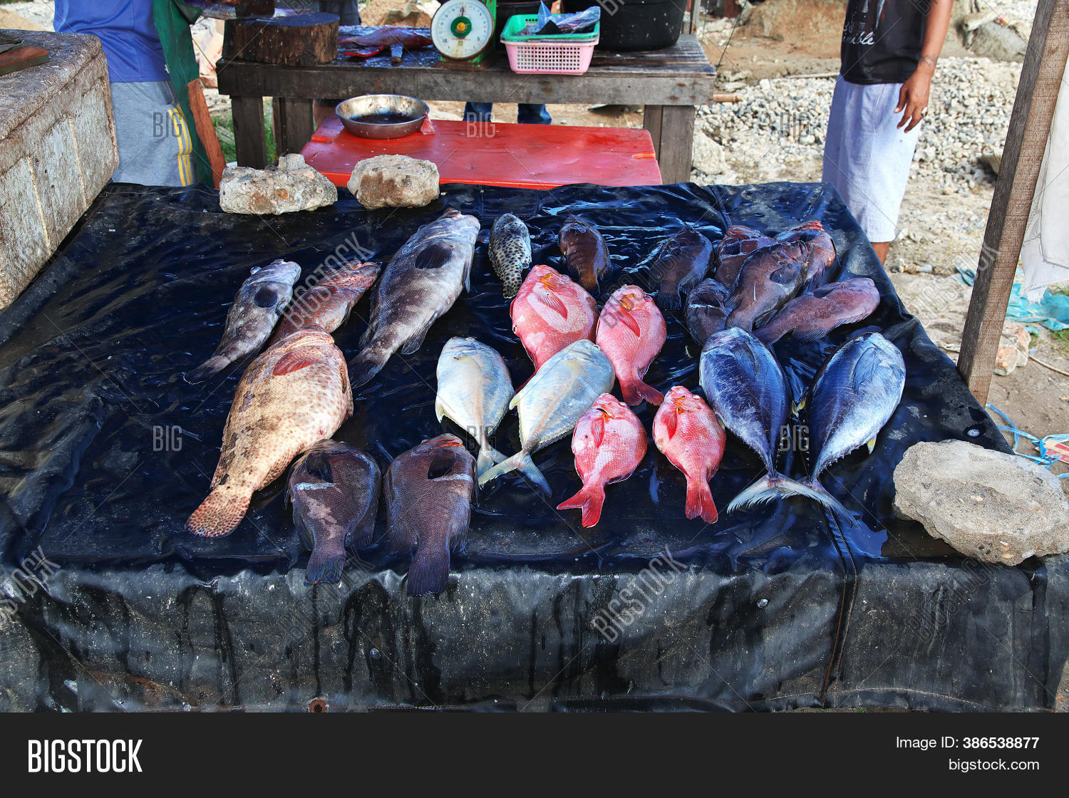 Local Fish Market Image & Photo (Free Trial) | Bigstock