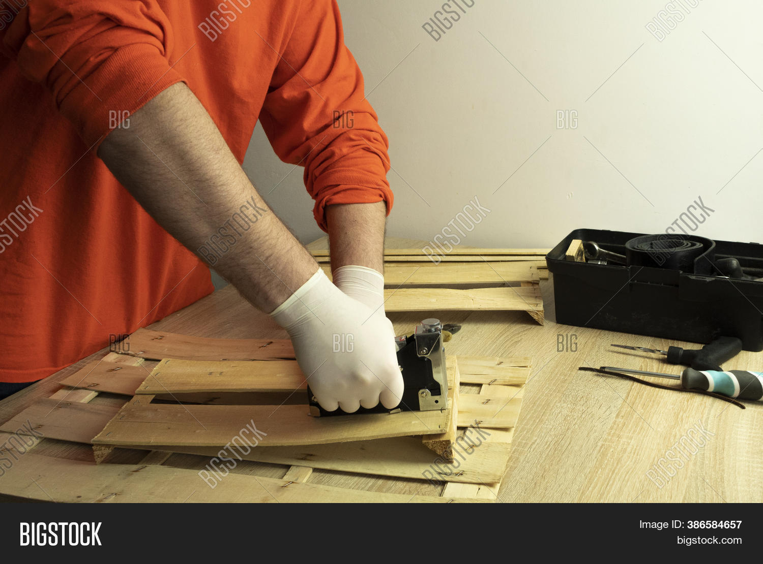 Man Works Stapler Tree Image & Photo (Free Trial) | Bigstock