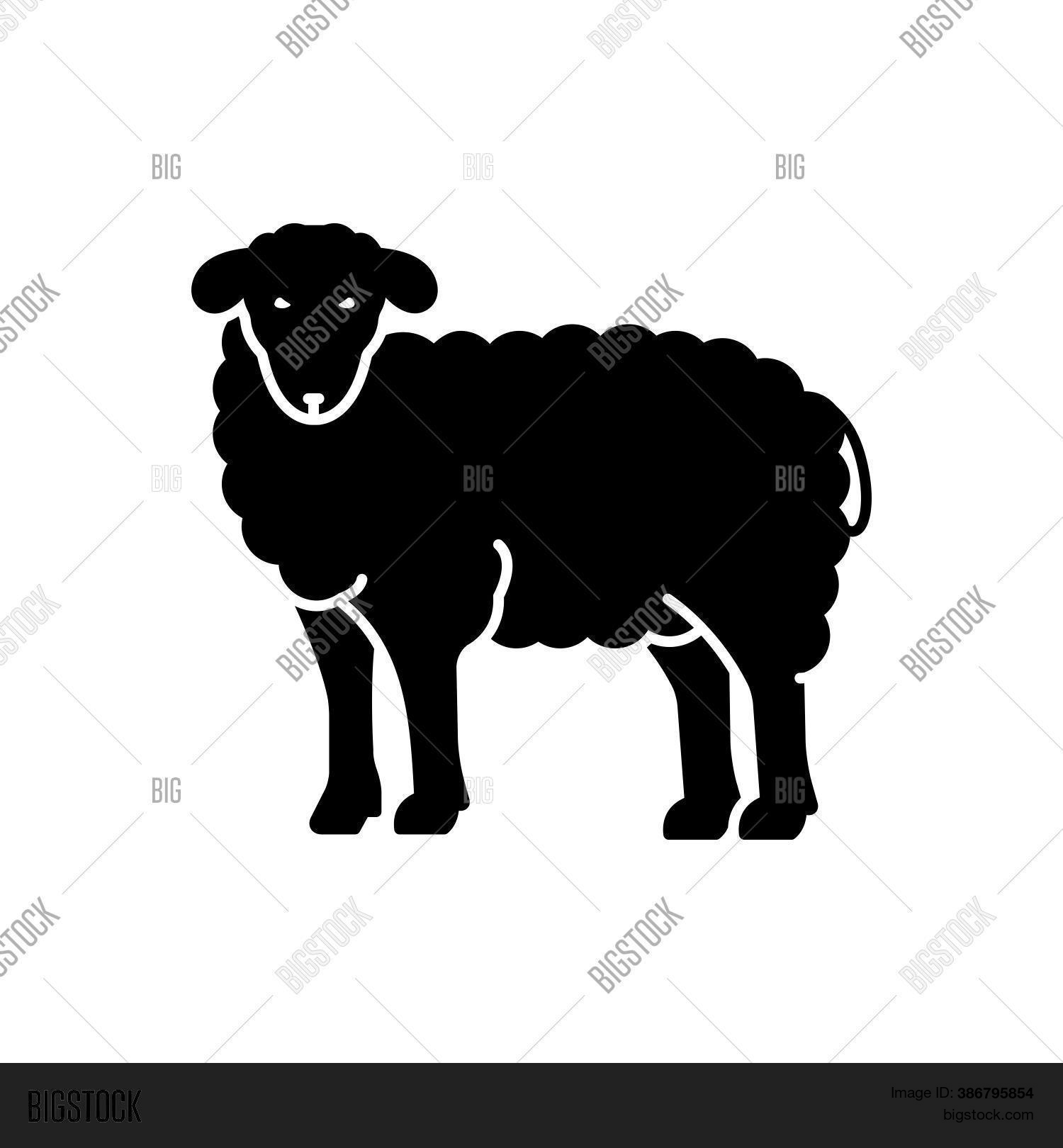 Black Solid Icon Vector & Photo (Free Trial) | Bigstock