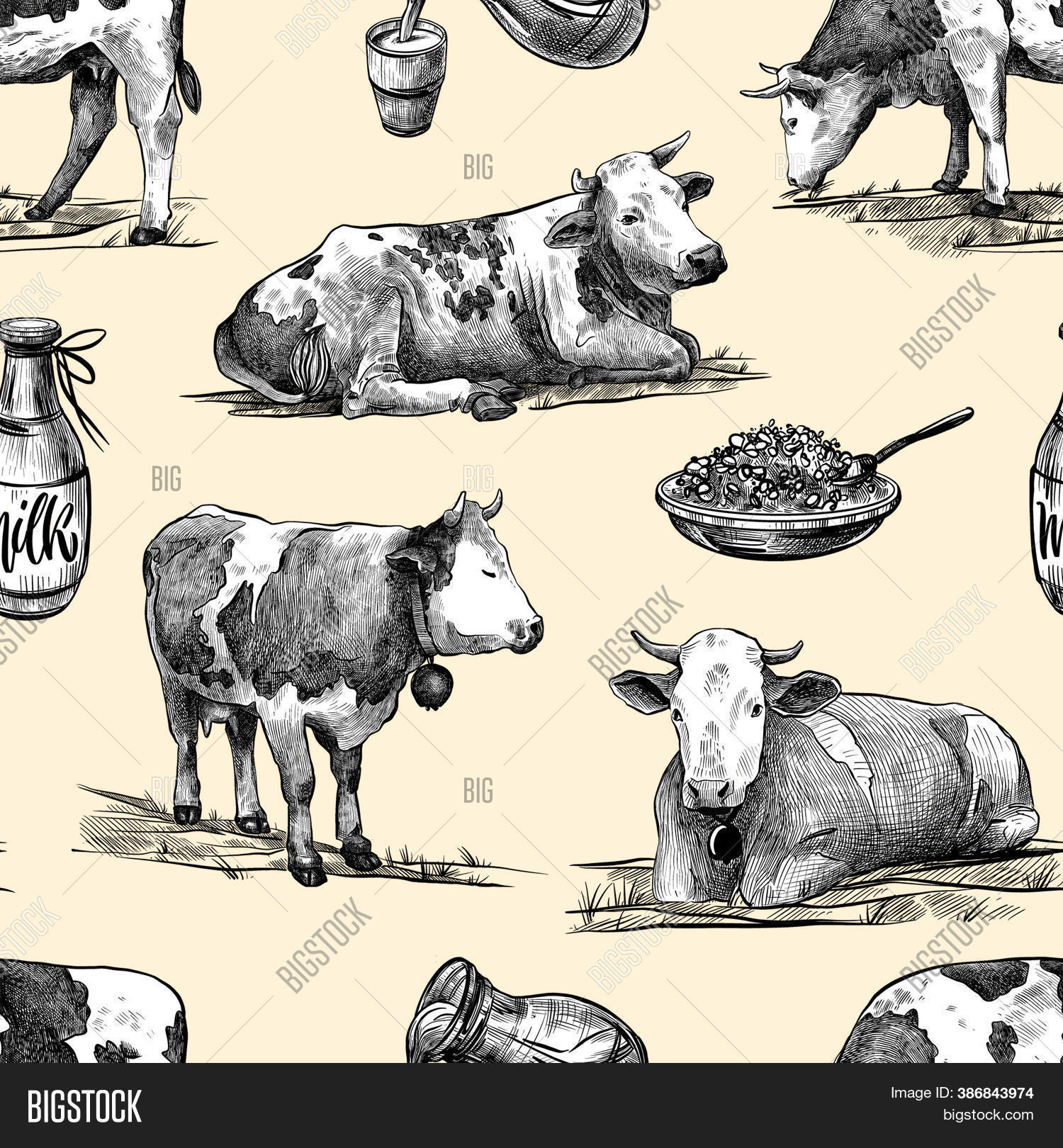 Farm Cows, Homemade Image & Photo (Free Trial) | Bigstock
