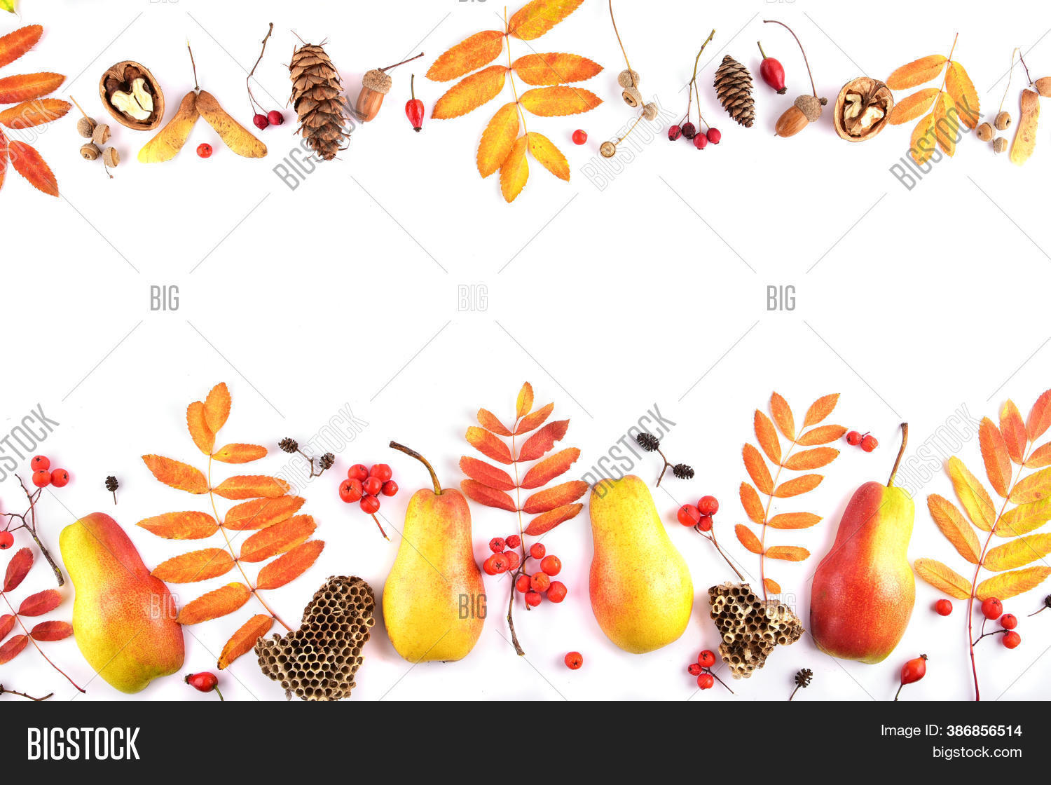 Autumn Composition On Image & Photo (Free Trial) | Bigstock