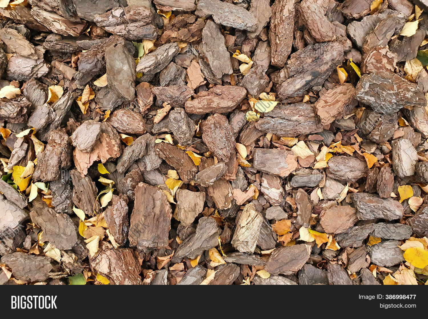 Close View Pulverised Image & Photo (Free Trial) | Bigstock