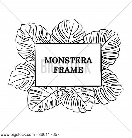 Monstera Frame. Vector & Photo (Free Trial) | Bigstock