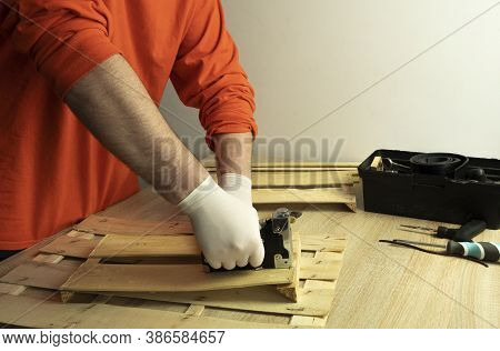 Man Works Stapler Tree Image & Photo (Free Trial) | Bigstock