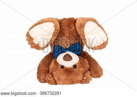 Friendly Brown Teddy Image & Photo (Free Trial) | Bigstock