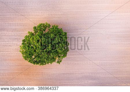 Top Down Aerial View Image & Photo (Free Trial) | Bigstock