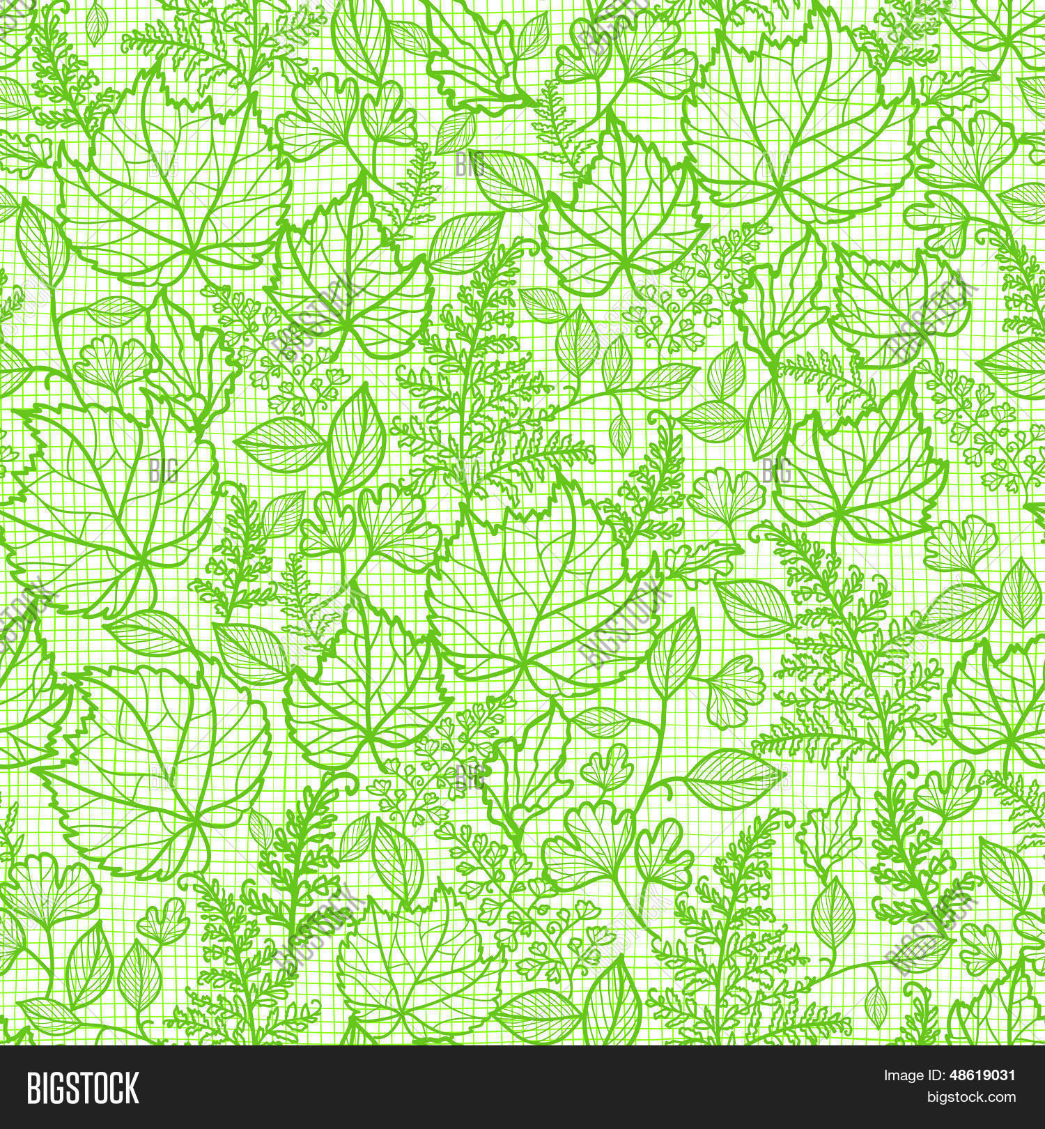 Lacey Leaves Lineart Vector & Photo (Free Trial) | Bigstock