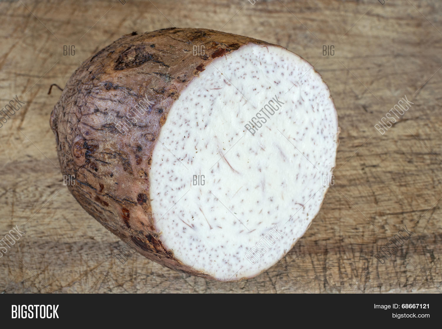 Malanga Root Image & Photo (Free Trial) | Bigstock