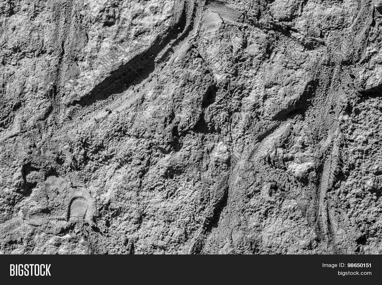 Texture Bumpy Stone Image & Photo (Free Trial) | Bigstock